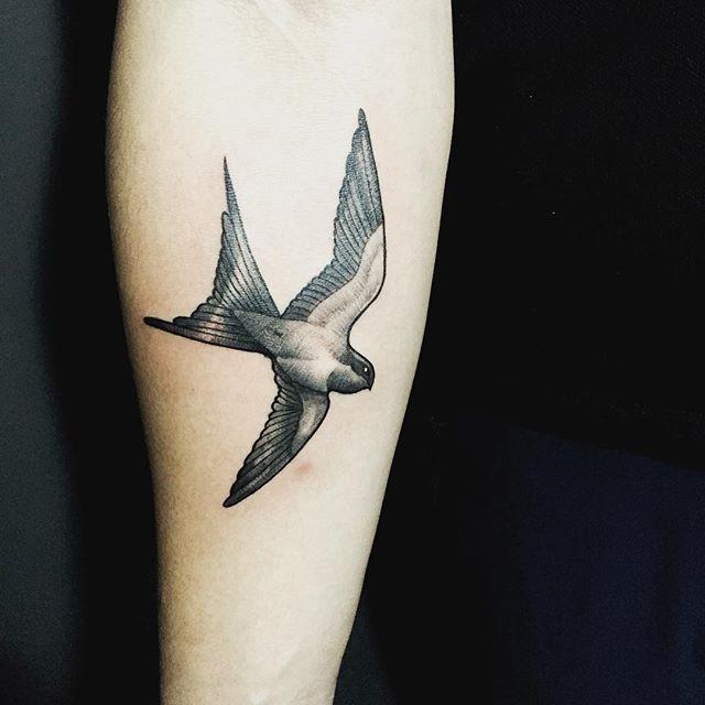 100 Tatuaggi di rondini: Galleria di immagini